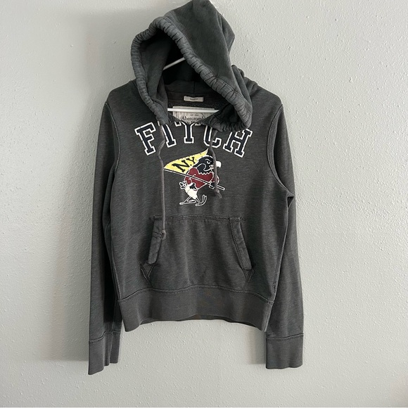 Abercrombie & Fitch | Shirts | Abercrombie Fitch Muscle Hoodie Sweatshirt Mens S Gray Hawk Ny ...